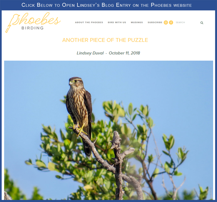 Leave a comment Cancel reply